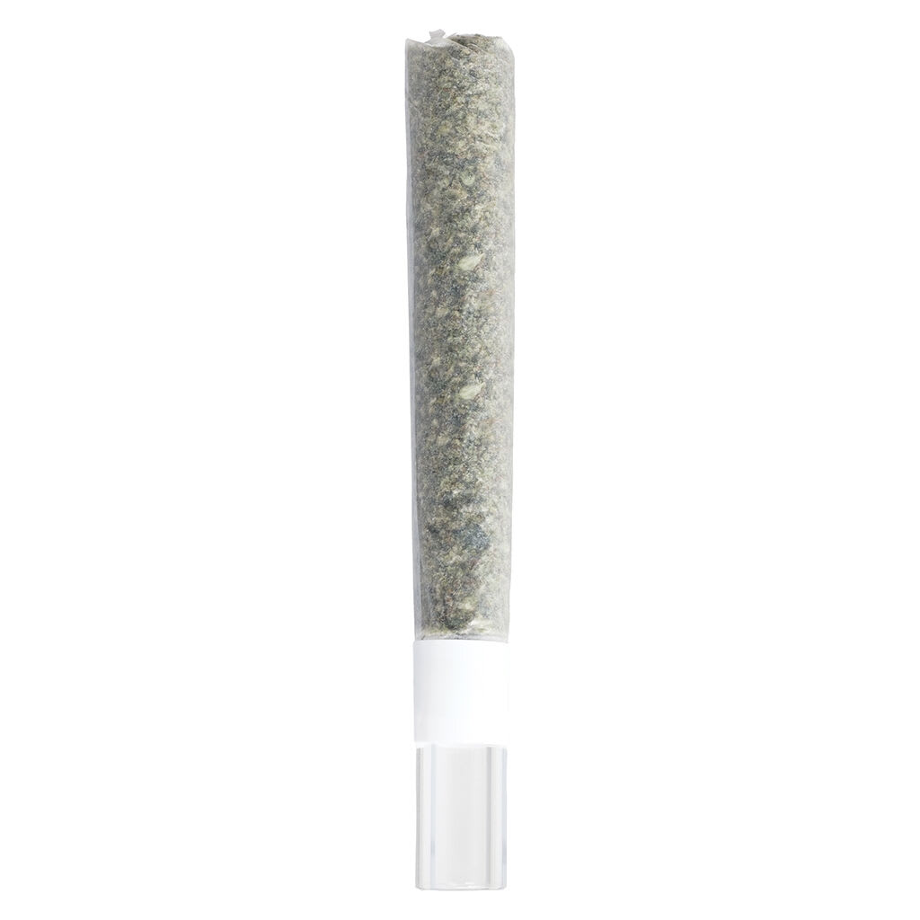 3RD Coast Genetics Pure Michigan Glass Tip Pre-Roll 1x1g | Indica ...