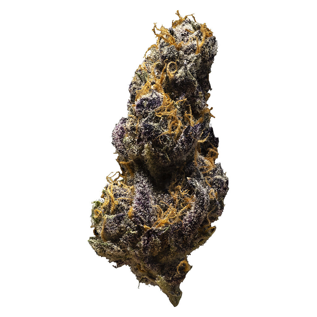 Black Cheese 7g Sativa 29.5% | 3.20% Terps | Montrose Cannabis
