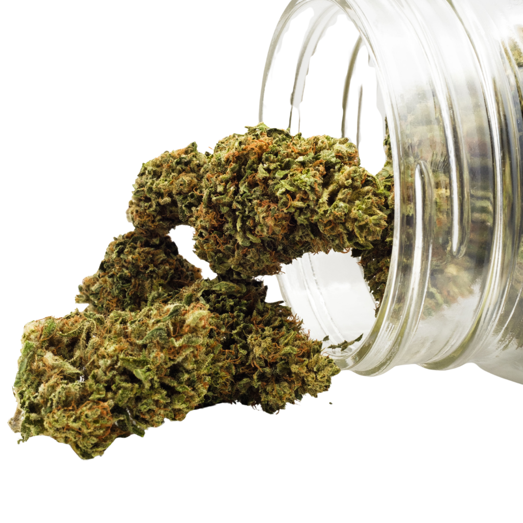 CBD Flower Canada (Medical) | Low THC Cannabis Flower | Montrose
