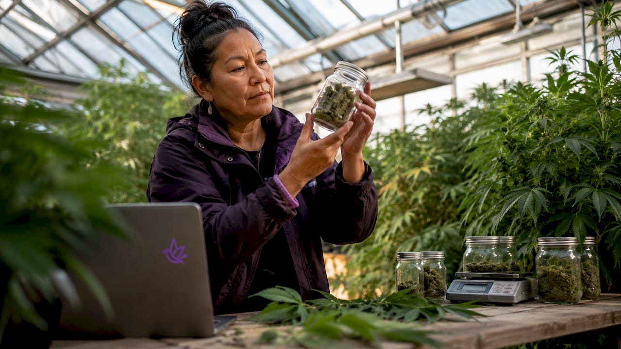 What is broad spectrum cannabis? Your 2026 Canadian guide